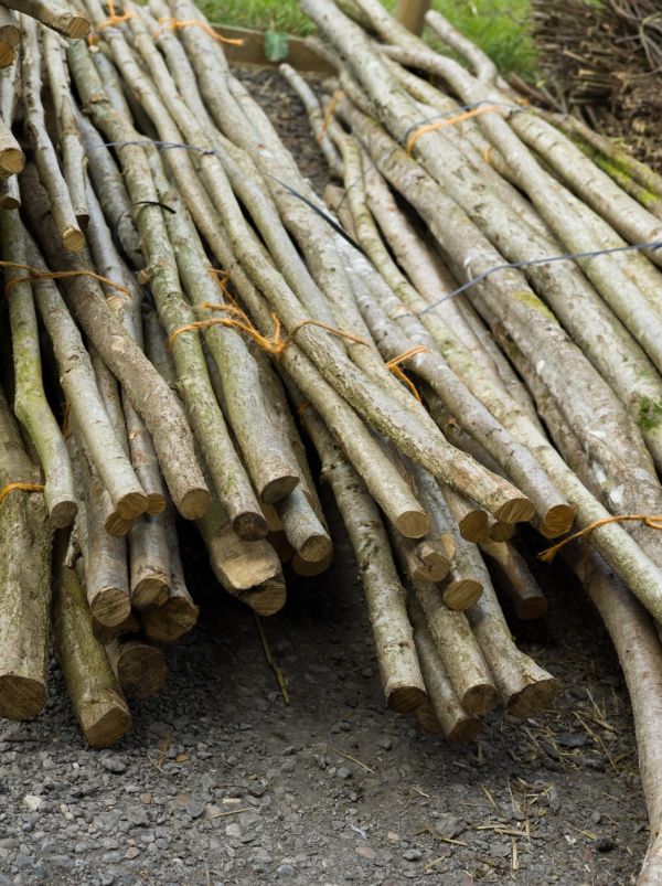 Rustic Hazel bundles, approx. ½”, 1” an 2” diameter