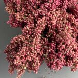 Sweet Pepper Berries, pink, blush, approx. 35 cm long