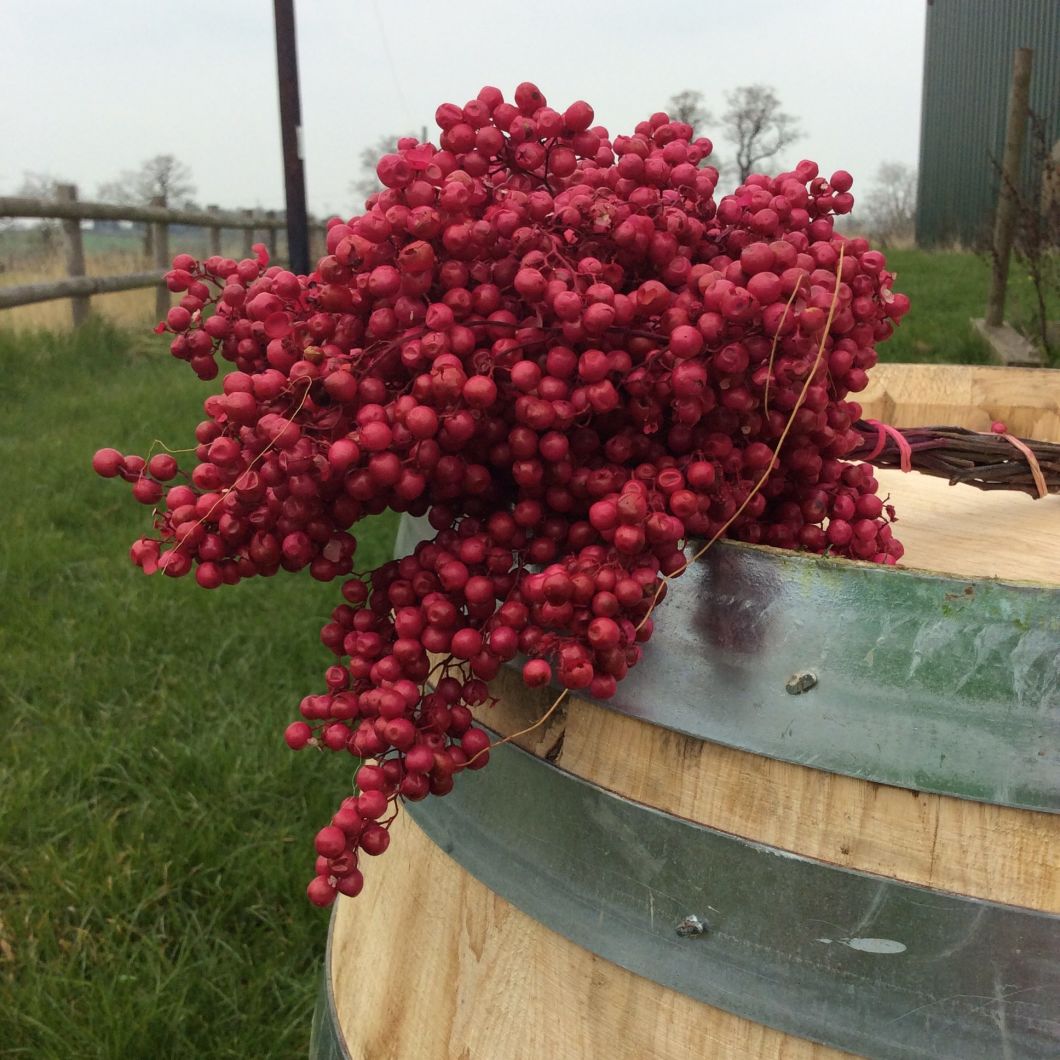 Sweet Pepper Berries, Red, approx. 35 cm long