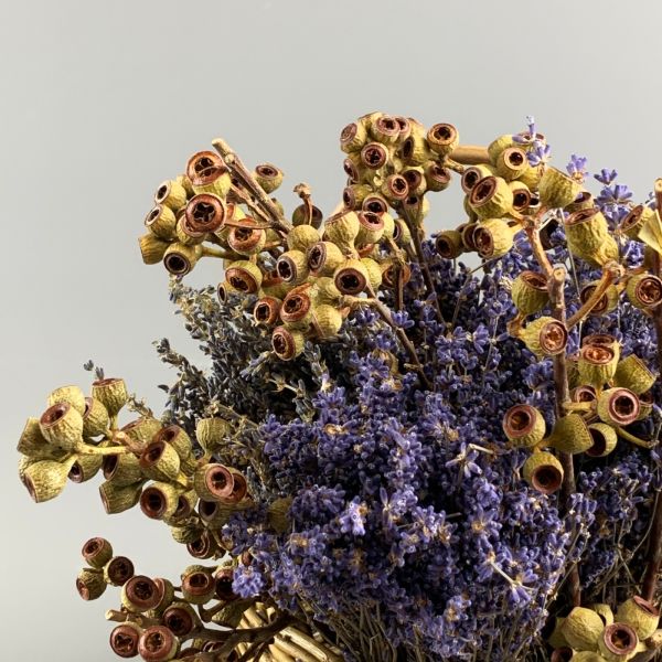 Ambernut Branches, x 5, Up to 40 cm long with 10 mm fruit, natural dried