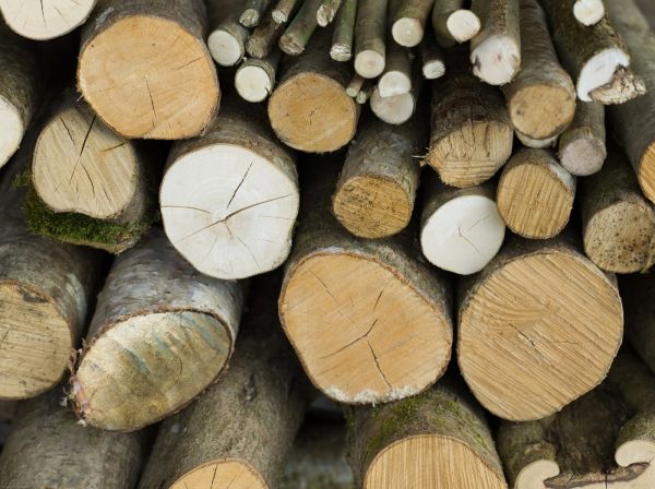 Rustic round pole with bark Dia. 3, 4, or 6". 3.6 m length