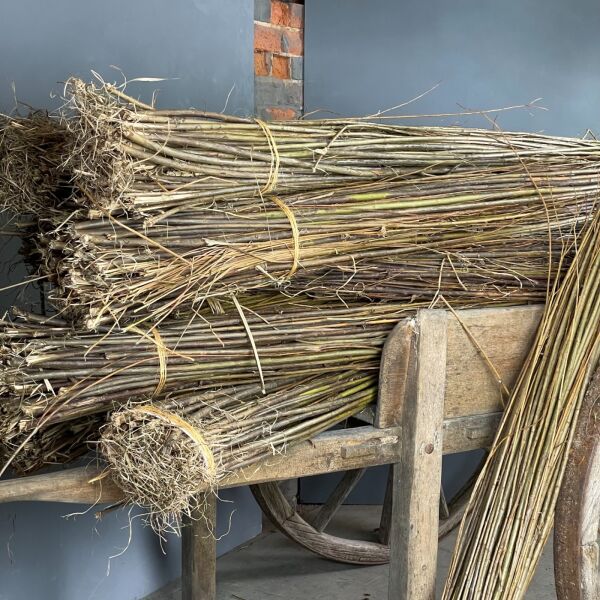 Green Willow Bundle - Mixed Size Bundles. Natural, dried weaving material - Brandon Thatchers
