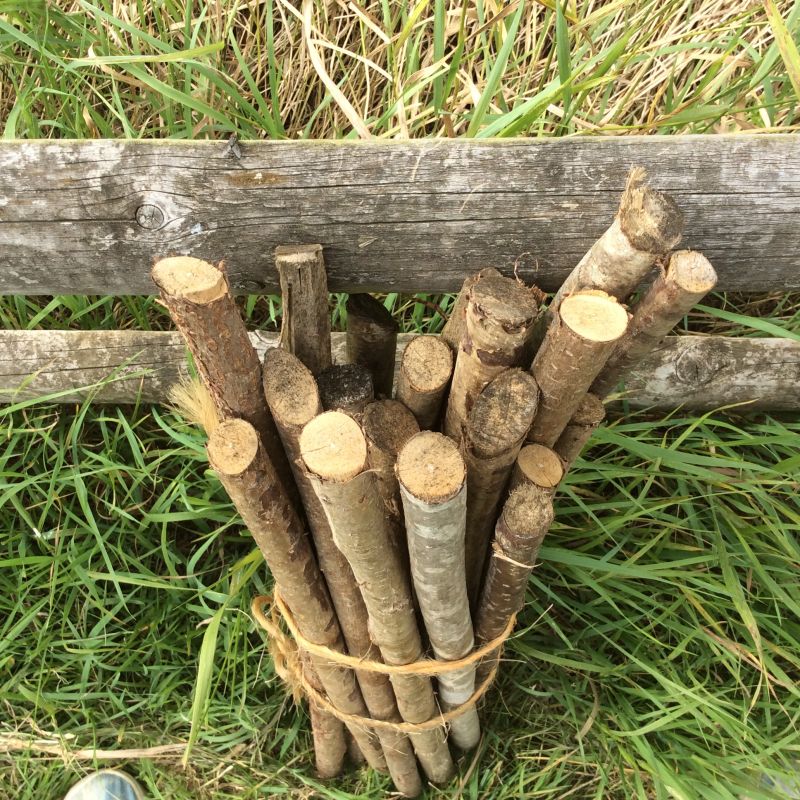 Kindling Fire Wood Bundle, approx. 1/2 to 1 inch diameter twigs, 18 ...