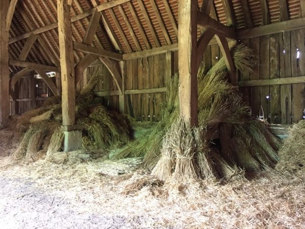 Straw Bundle, approx. 1.2 m tall by 40 cm diameter.