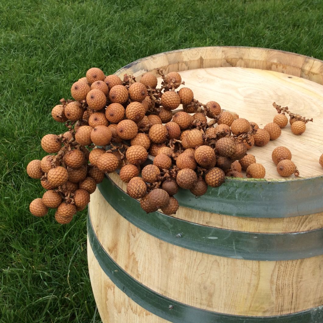 Rattan Grape bunch, approx. 40 cm long by 18 cm wide