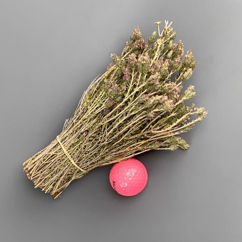 Thyme, 20cm long by 10 cm wide dried herb bunch, indigenous UK grown ...