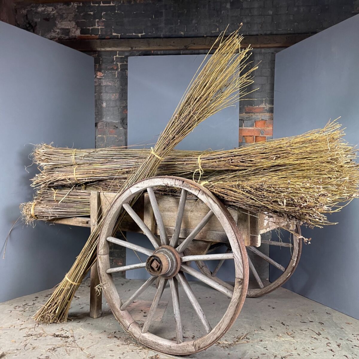 Green Willow Bundle - Mixed Size Bundles. Natural, dried weaving material - Brandon Thatchers