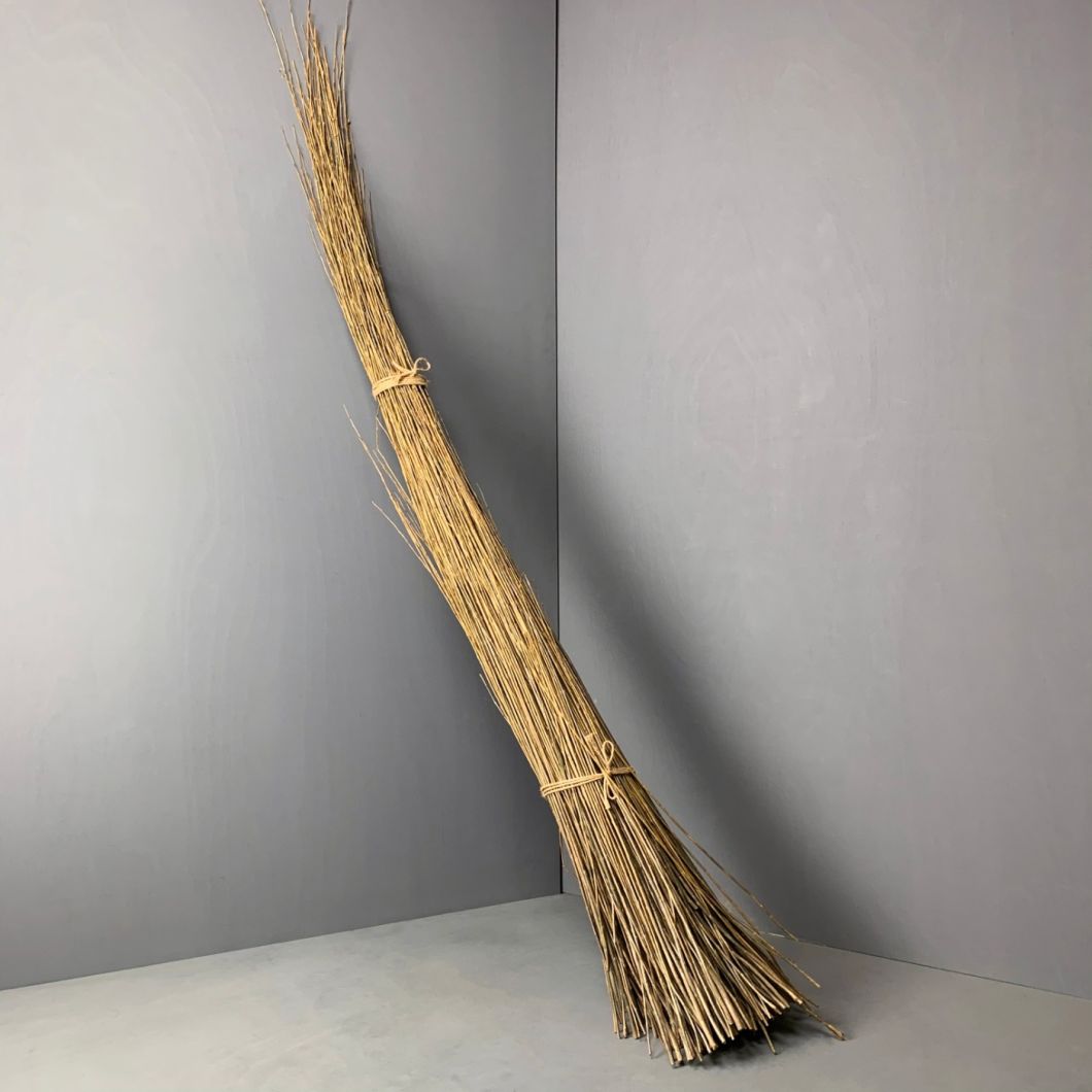 Green Willow Bundle - Mixed Size Bundles. Natural, dried weaving material - Brandon Thatchers