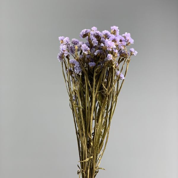 Statice, Lilac bunch, approx. 75cm tall dried flowers UK grown