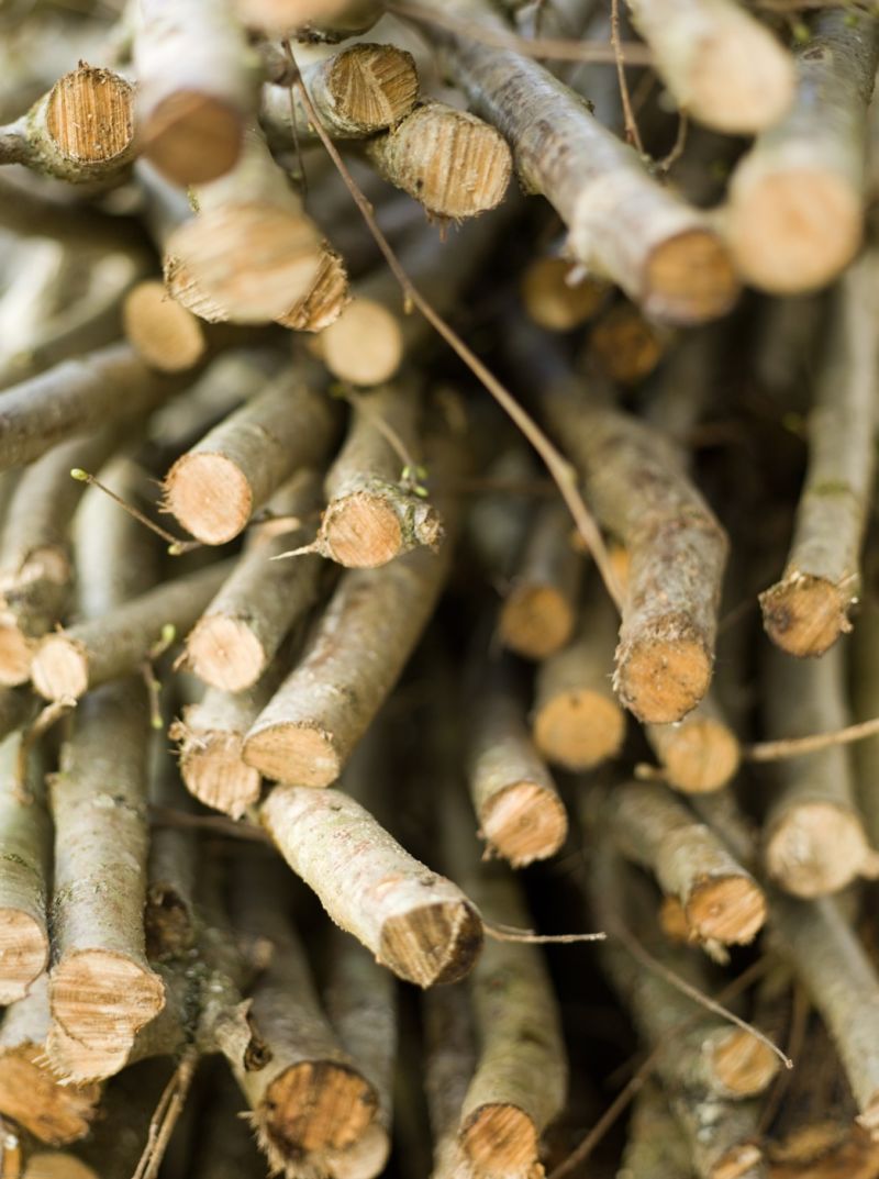 Rustic Hazel bundles, approx. ½”, 1” an 2” diameter