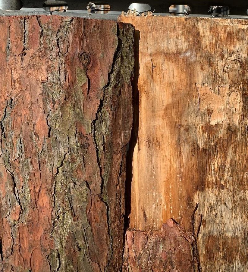Bark On Rustic Cladding.