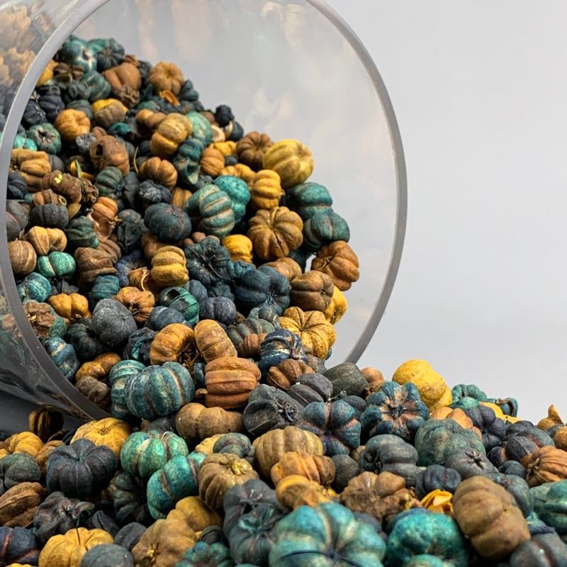 Putka Seed Pods 300-gram bag, approx. 10 to 20 mm