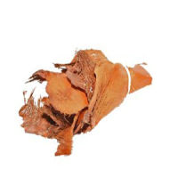 Palm Husk x 10 Rolled into a bundle approx. 40cm long