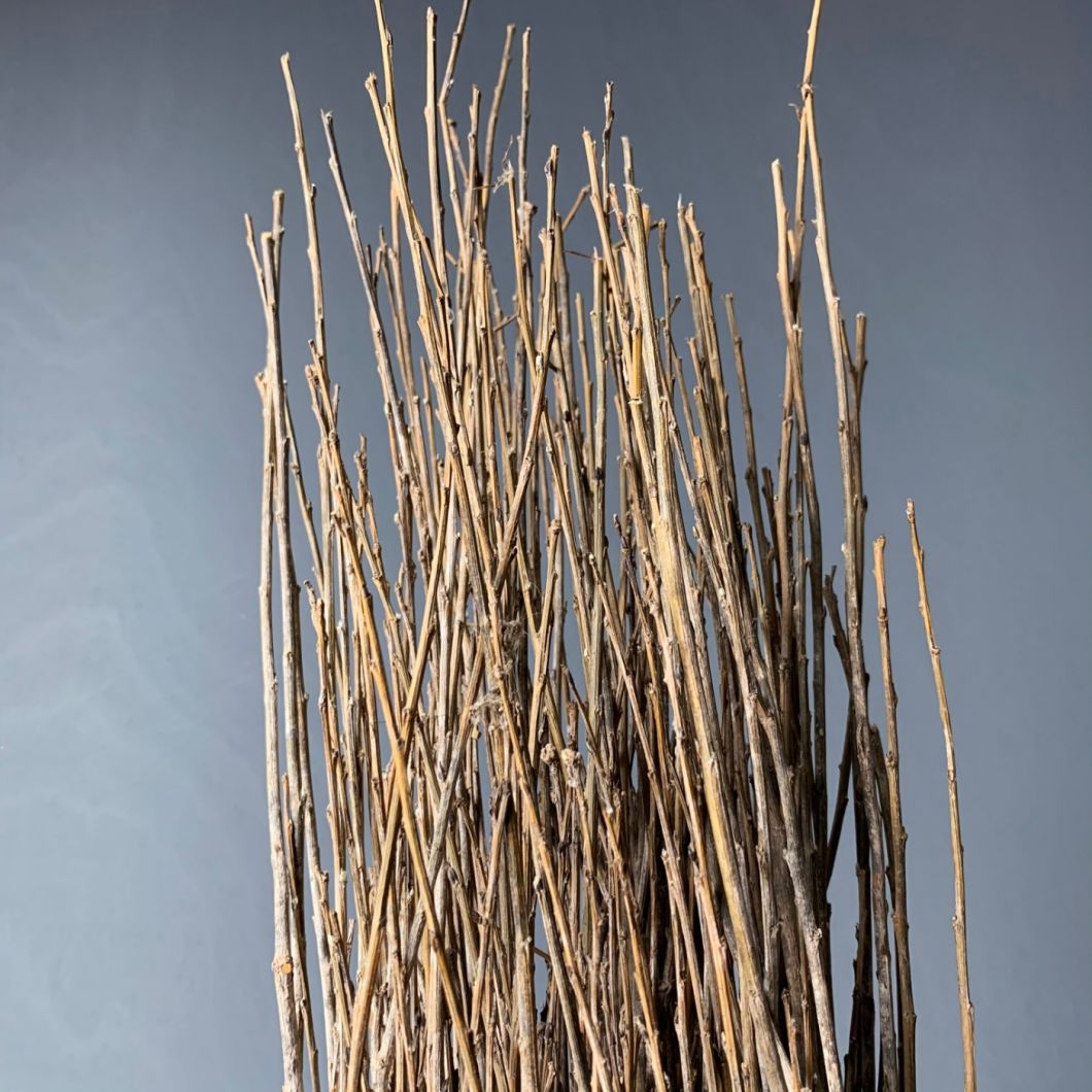 Green Willow Bundle - Mixed Size Bundles. Natural, dried weaving ...