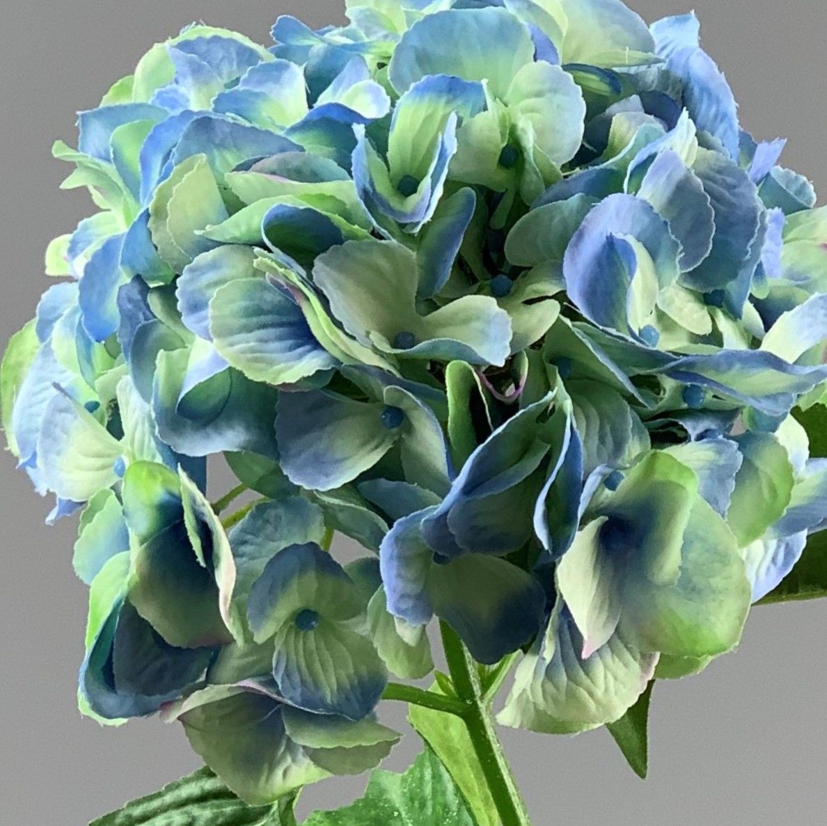 Hydrangea, Sky Blue, 70 cm tall artificial, poseable stem