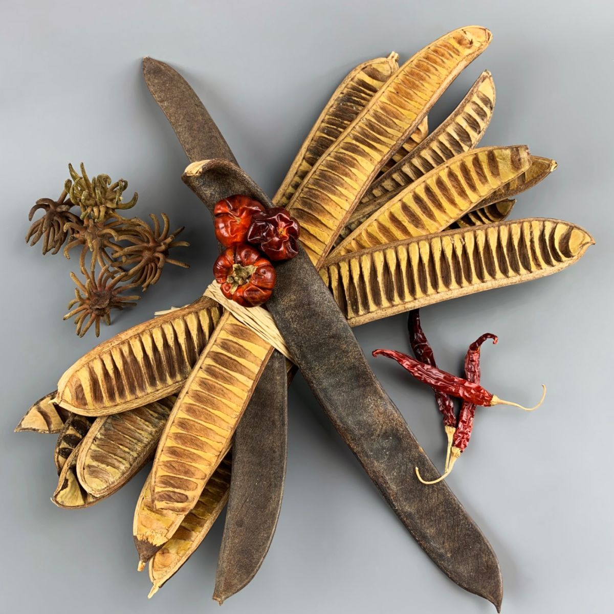 Seeds, Pods, Husks, branches… UK stock, Next day delivery