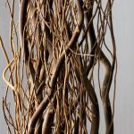 Water Reed Bundle, approx. 2 m plus tall by 25 cm