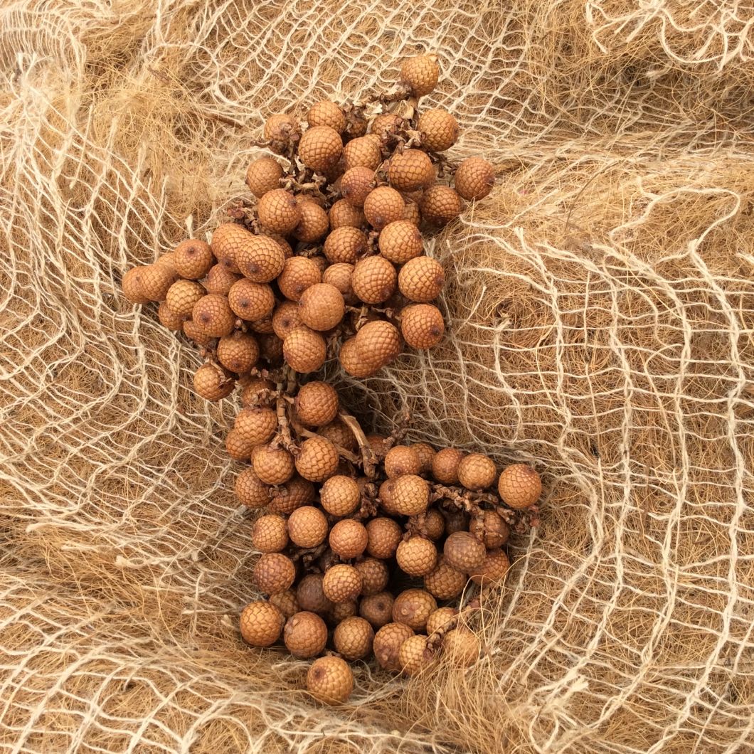 Rattan Grape bunch, approx. 40 cm long by 18 cm wide