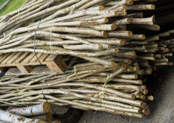 Rustic Hazel bundles, approx. ½”, 1” an 2” diameter