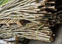 Rustic Hazel bundles, approx. ½”, 1” an 2” diameter