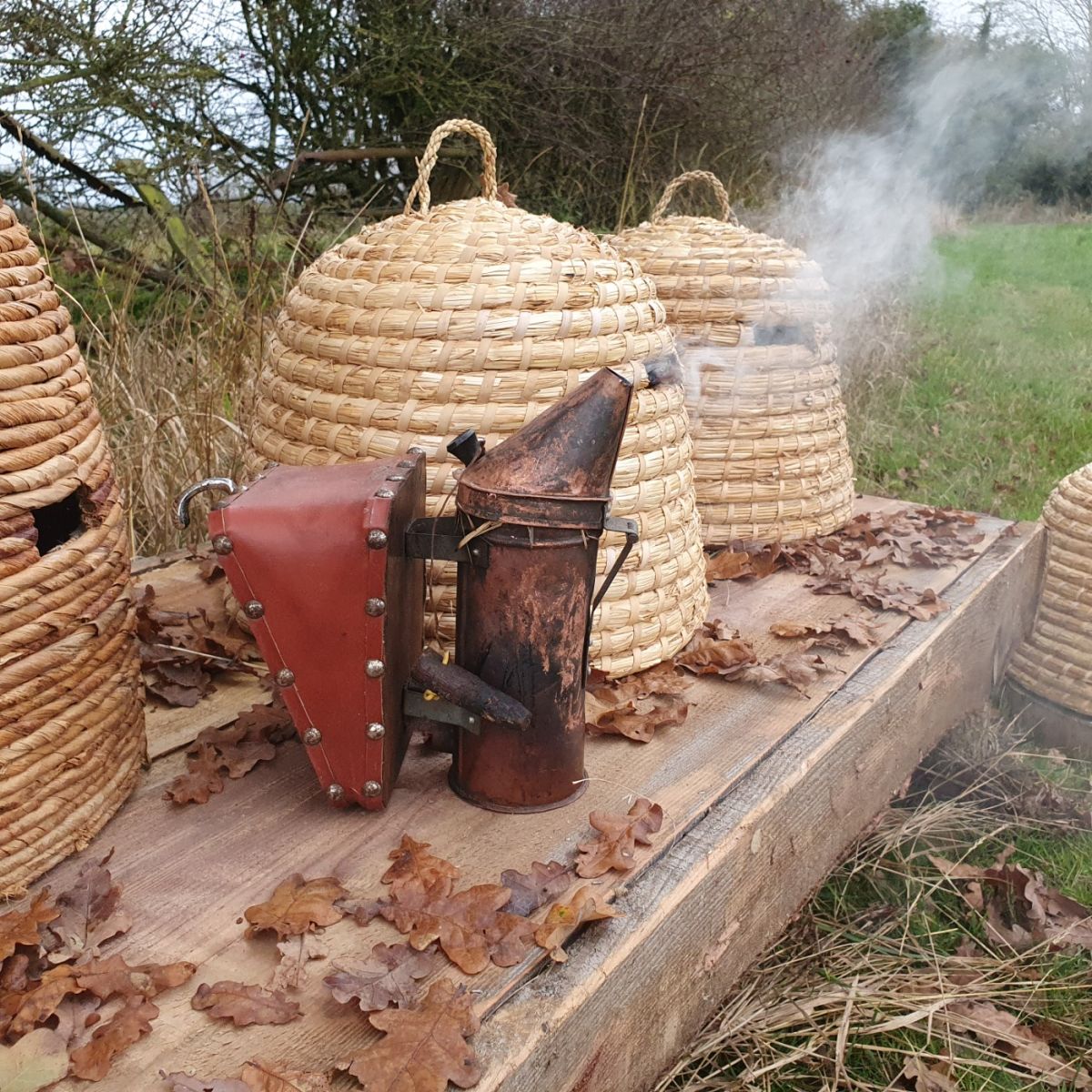 Straw Bee Skeps x 6, Skep table and 2 x bases. Bee smoker. RENTAL ONLY ...