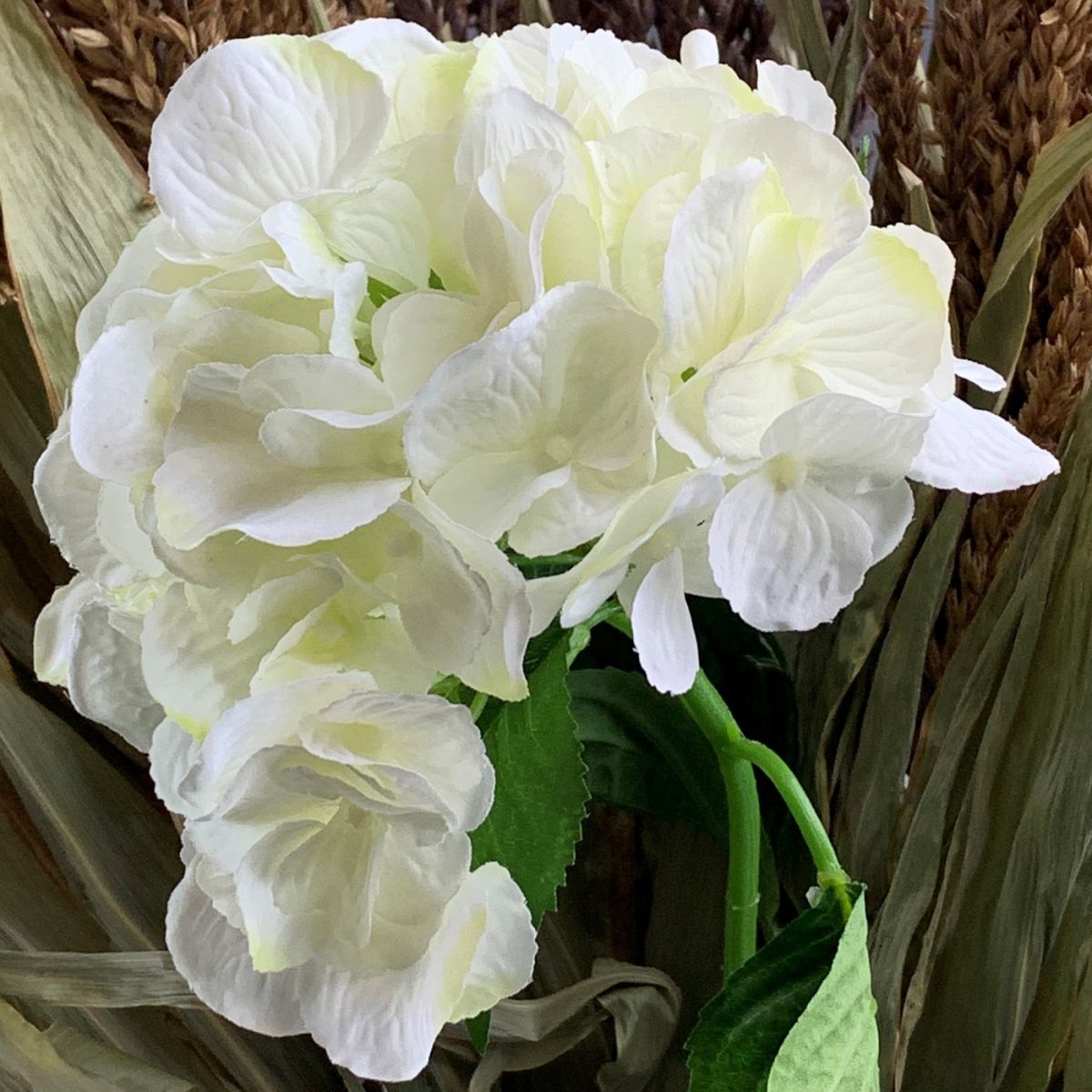 Hydrangea, Ivory, 70 cm tall artificial, poseable stem