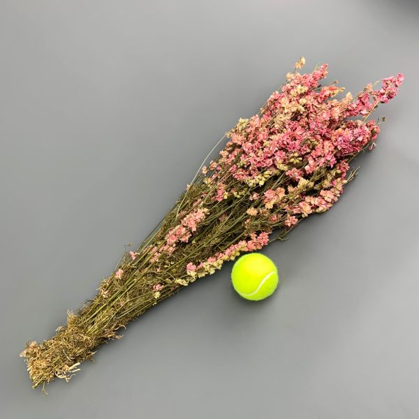 Larkspur, delphinium, Pink bunch, 75cm tall Natural dried flowers