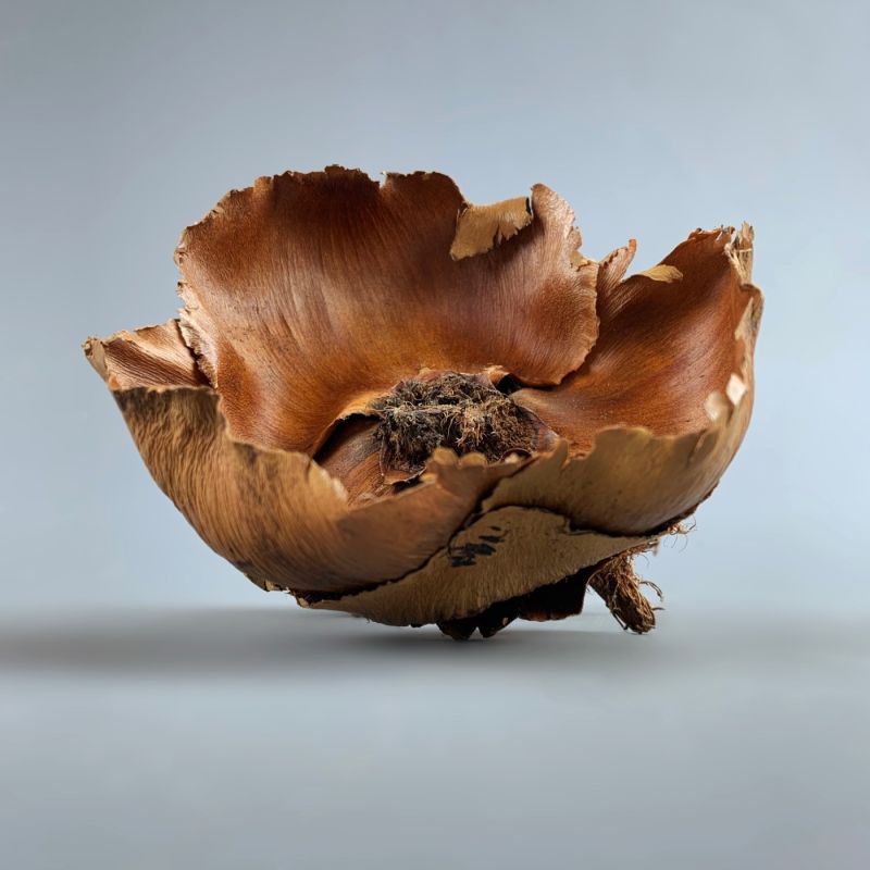 Palm Cups x 5, approx. 10 cm diameter. Natural