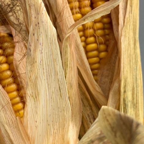 Straw Bundle, approx. 1.2 m tall by 40 cm diameter.