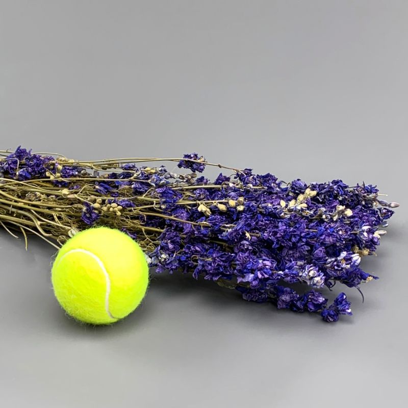 Larkspur, delphinium, Blue bunch, 75cm tall Natural dried flowers