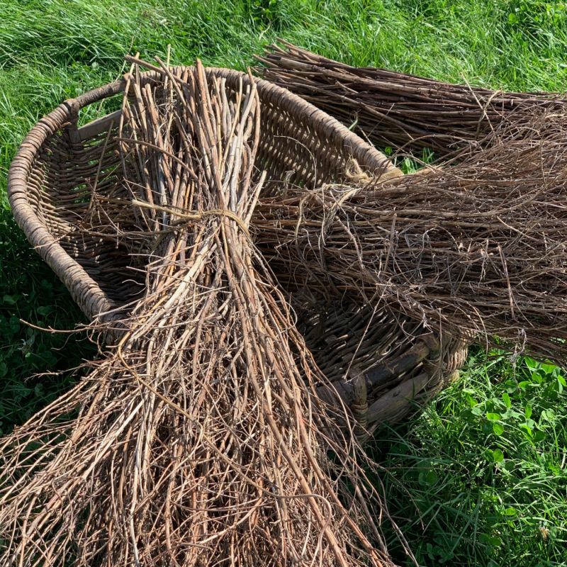 Winter Stems, approx. 120 cm tall by 30 cm wide, natural dried ...