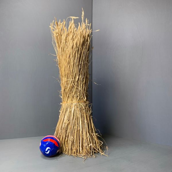 Straw Bundle, approx. 1.2 m tall by 40 cm diameter.