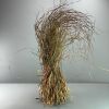 Water Reed Bundle, approx. 2 m plus tall by 25 cm