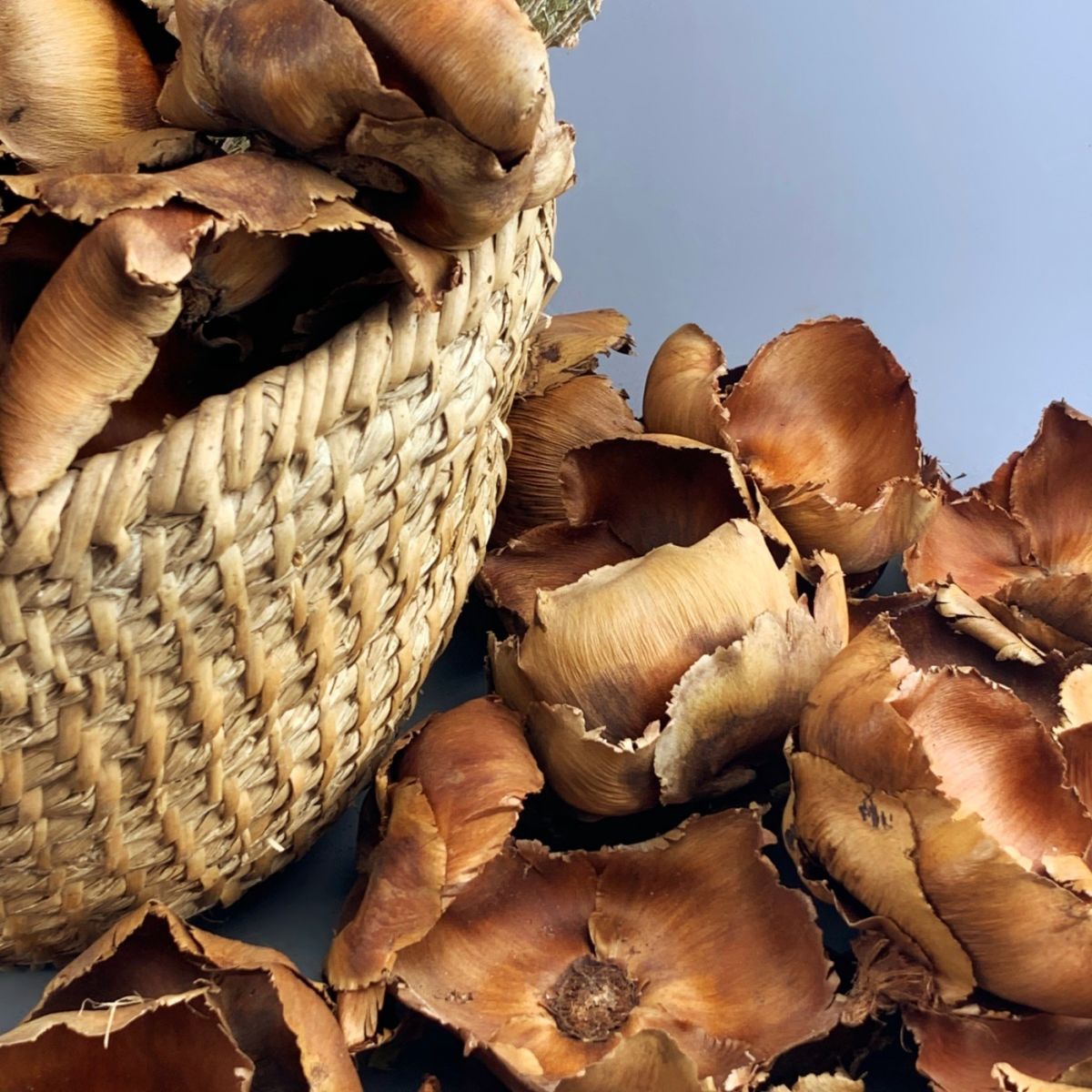 Palm Cups x 5, approx. 10 cm diameter. Natural