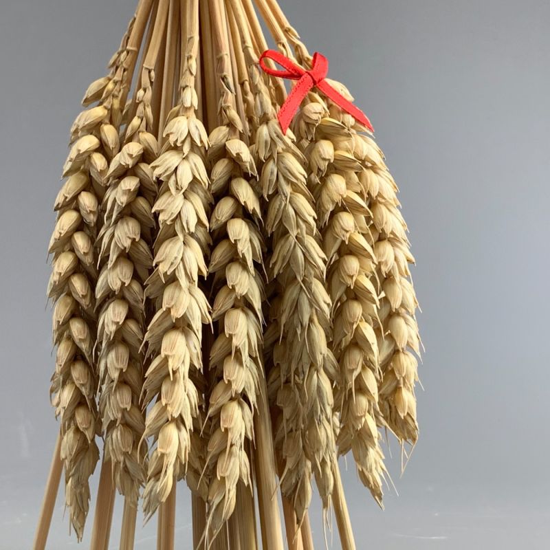 Dorn Doll Lady with Hat, hand woven