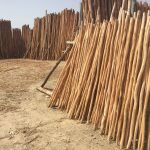 Rustic round pole with bark Dia. 3, 4, or 6". 3.6 m length