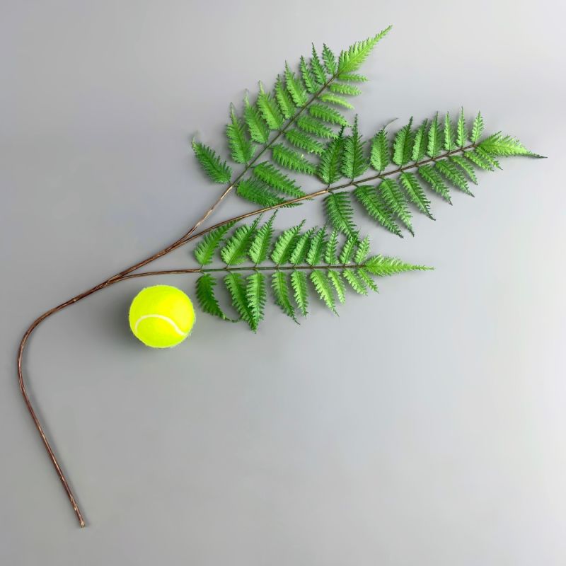 Fern Fronds x 4, long Realistic artificial foliage on poseable stem