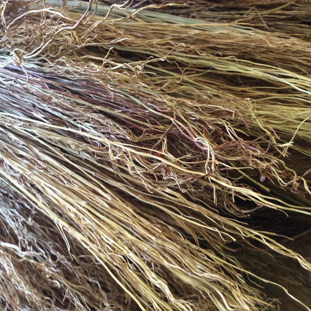 Sirak approx. 100 cm tall by 30 cm wide bundle