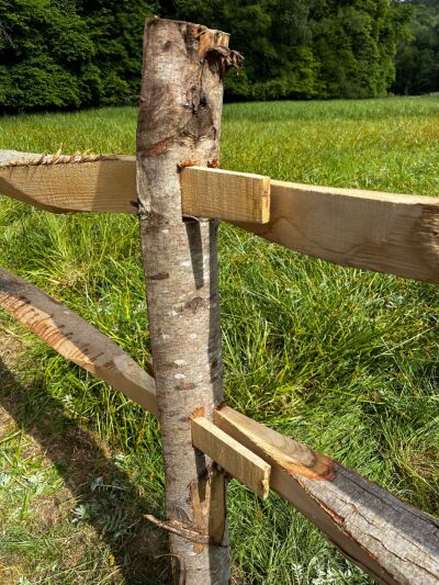 Cleft Split Chestnut Post & Rail Fencing, with 2 or 3 mortice posts ...