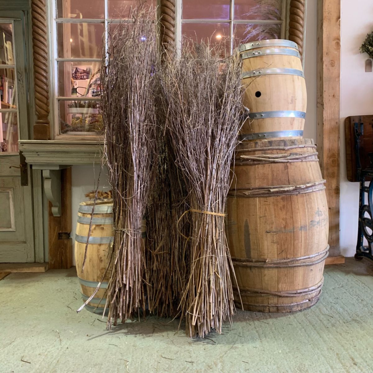 Winter Stems, approx. 120 cm tall by 30 cm wide, natural dried ...
