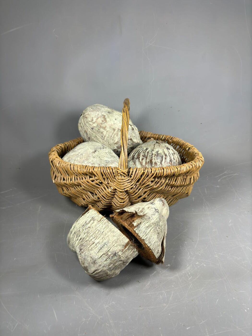 Green Wash Coconut Husk, approx. 15cm diameter, natural, dried floral ...