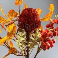 Xmas Baxteri, red, 70 cm tall dried flower, floral decoration