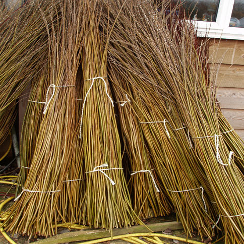 Green Willow Bundle - Mixed Size Bundles. Natural, dried weaving material - Brandon Thatchers