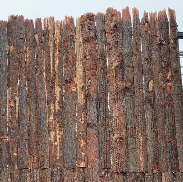 Bark On Rustic Cladding.