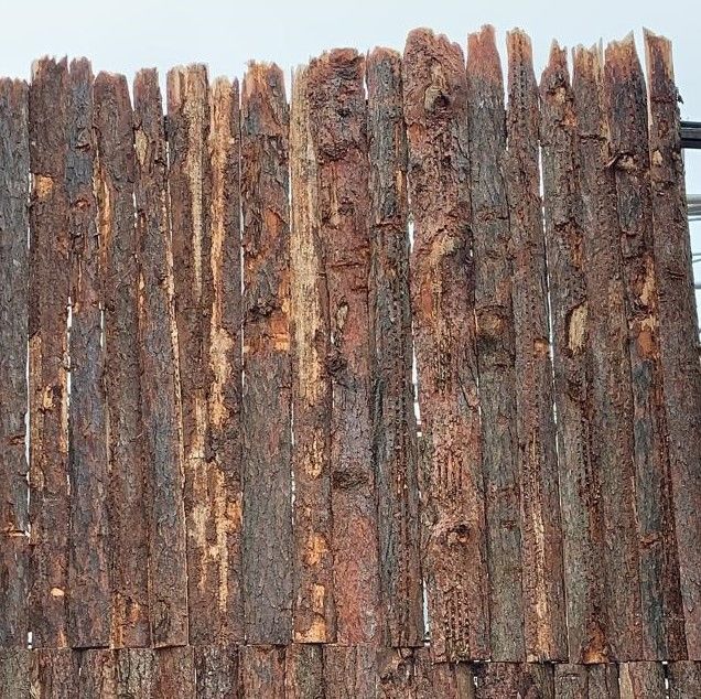Bark On Rustic Cladding.