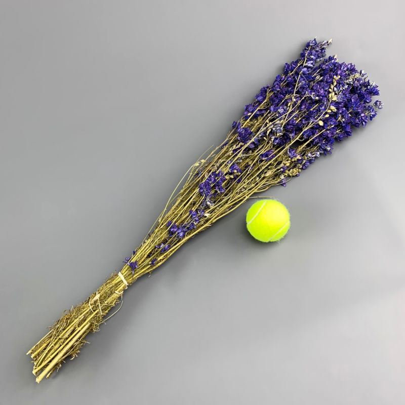 Larkspur, delphinium, Blue bunch, 75cm tall Natural dried flowers