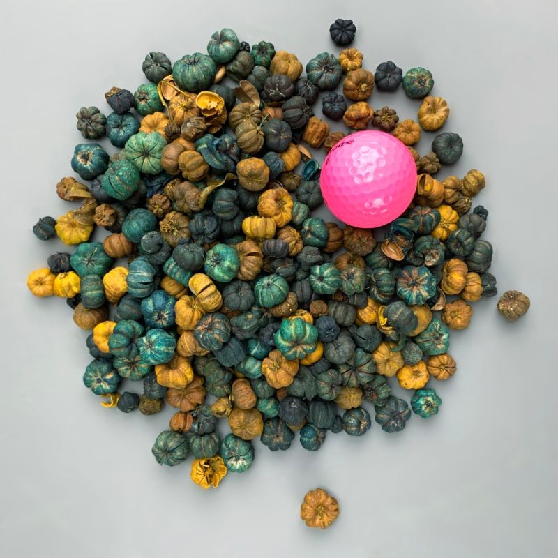 Putka Seed Pods 300-gram bag, approx. 10 to 20 mm