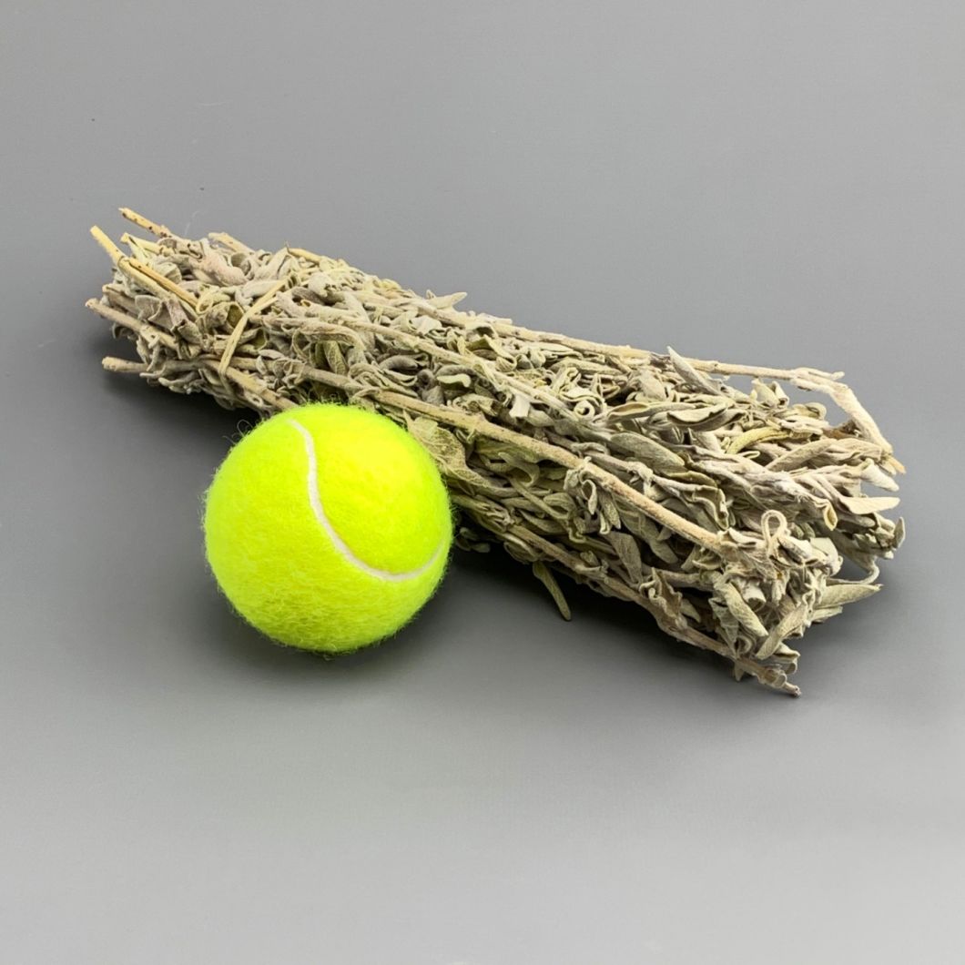 Sage 20cm long by 10 cm wide dried herb UK grown