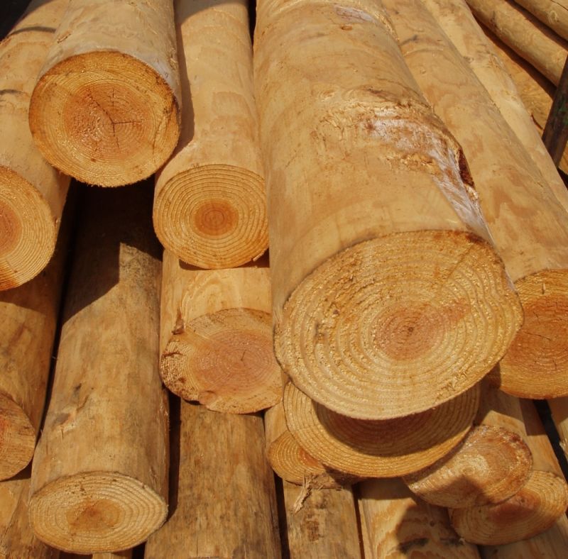 Machined Round Poles, 3.5, 4 & 6" diameter, treated - Brandon Thatchers