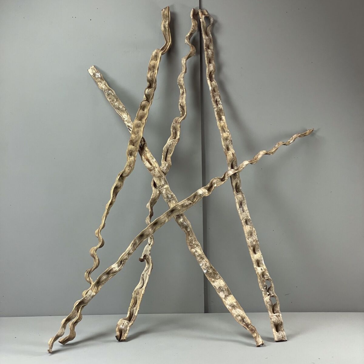 Monkey Ladder Giganticus approx. 2 m long by 13 cm wide